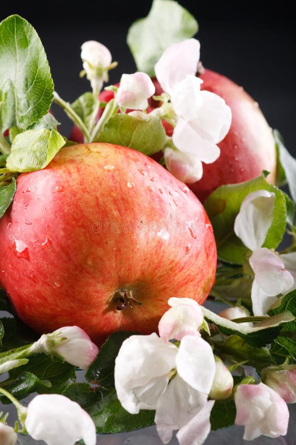 Pommes rouges photo stock. Image du rafraîchissement - 13469390