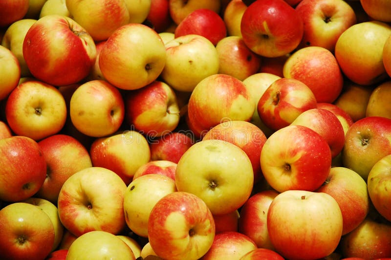 Pommes rouges et jaunes photo stock. Image du dieting - 6701958