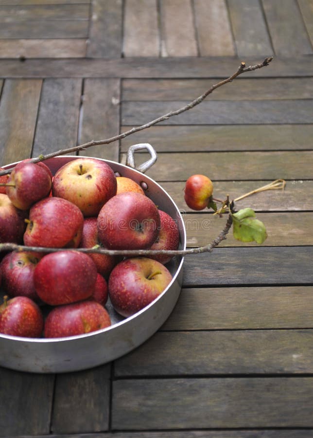 Pommes rouges organiques image stock. Image du saisonnier - 80154569