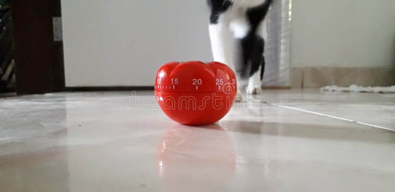 Pomodoro Timer - Mechanical Tomato Shaped Kitchen Timer for Cooking or ...