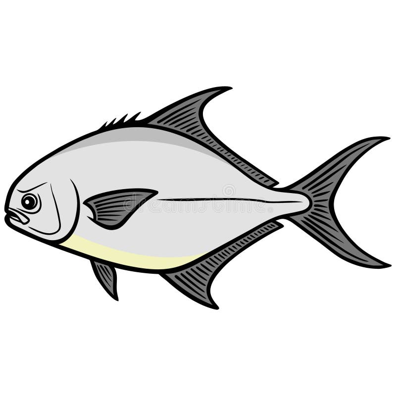 Pompano Stock Illustrations – 149 Pompano Stock Illustrations, Vectors ...