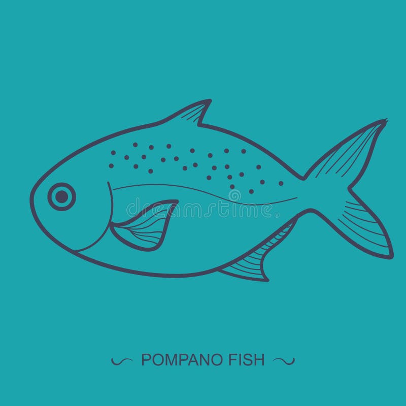 Pompano Stock Illustrations – 85 Pompano Stock Illustrations, Vectors ...