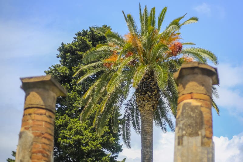 Pompeii ruins stock photo. Image of pompeii, historical - 110032966