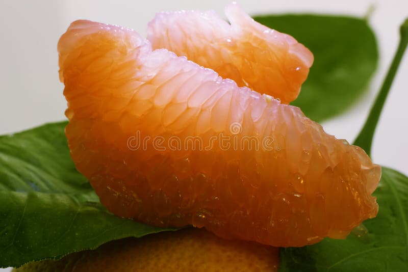 Pompelmo immagine stock. Immagine di verde, giallo, polpa - 8377137