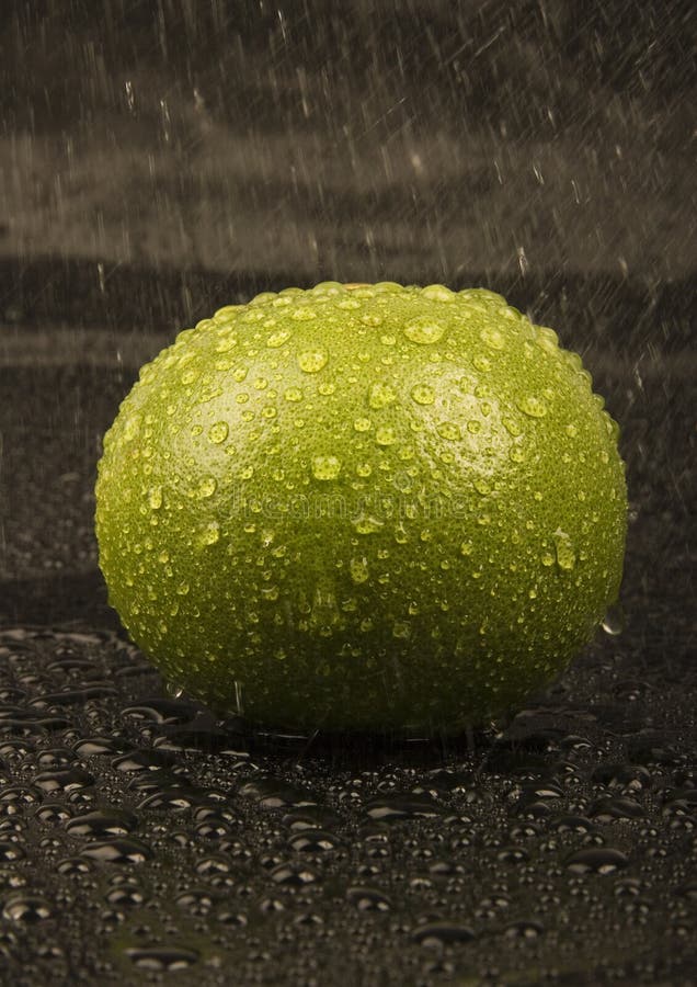 Pompelmo Verde fotografia stock. Immagine di unripened - 1399326