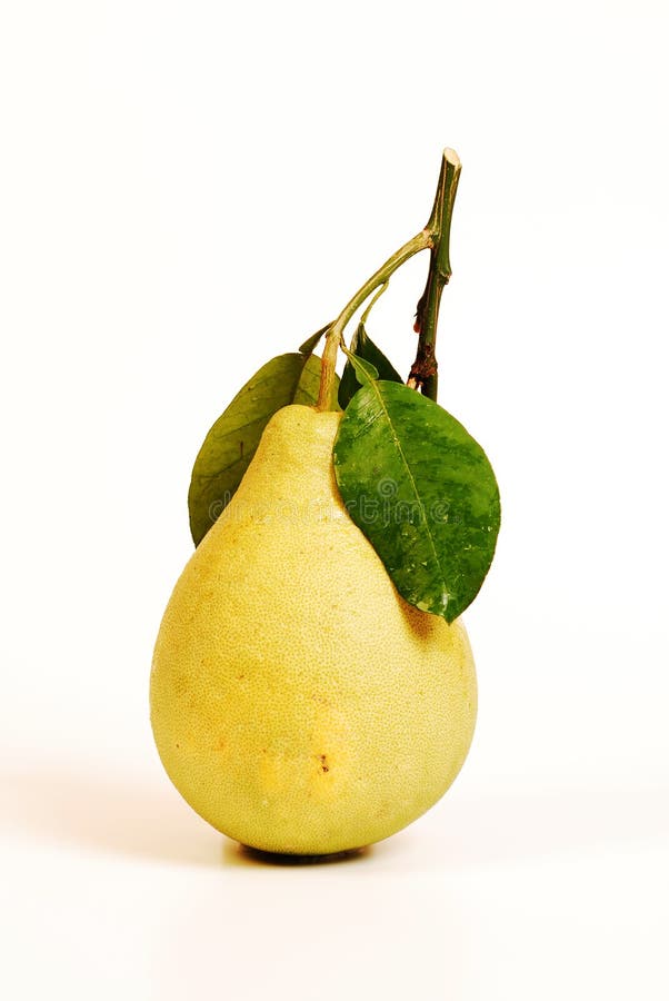 Pompelmoes stock afbeelding. Image of gezond, ingrediënt - 7227323