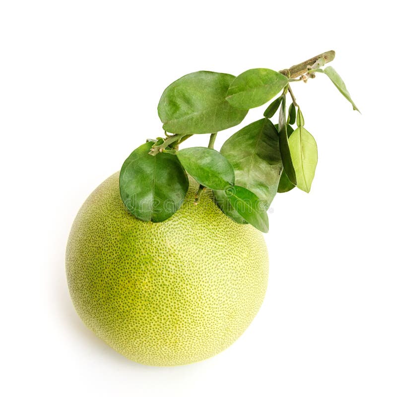 Pompelmoes of Chinese Grapefruit Stock Afbeelding - Image of grapefruit ...