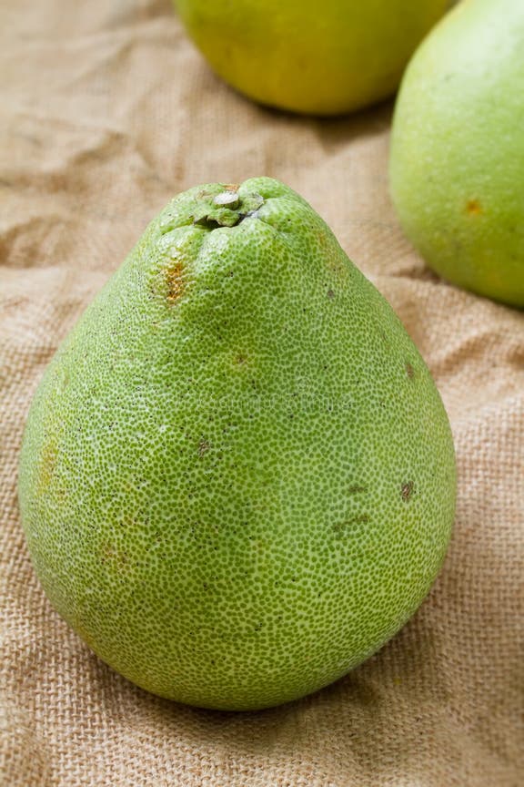 Pompelmous stock image. Image of delicious, pummelo, cuisine - 16089447