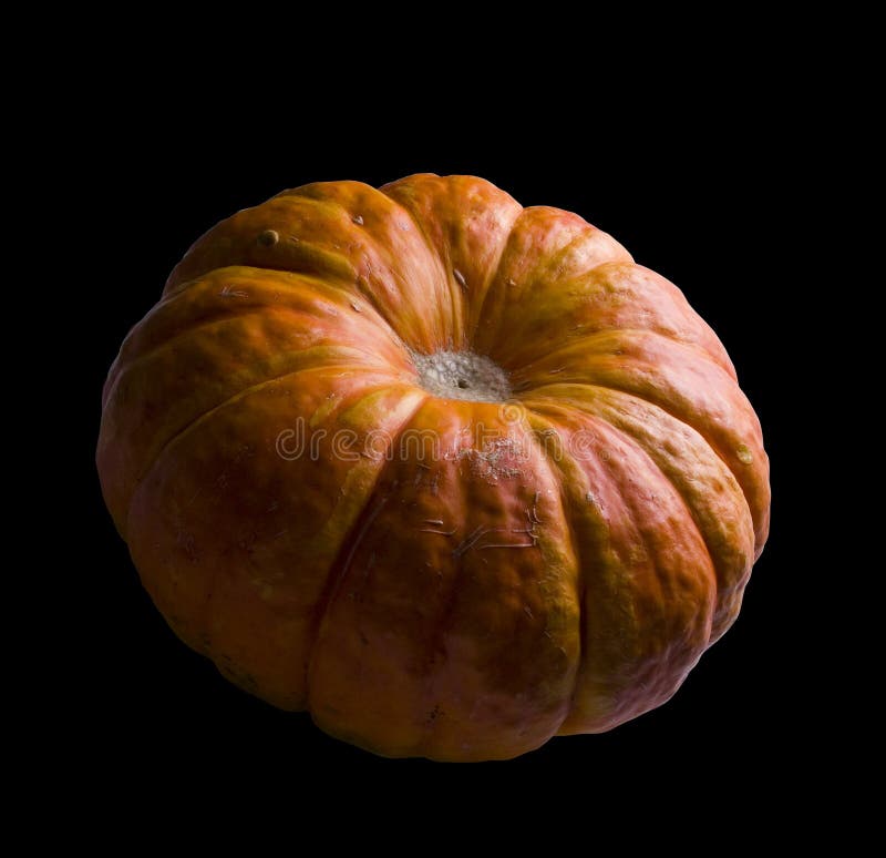 Pompoen stock foto. Image of oktober, onheilspellend - 11020032