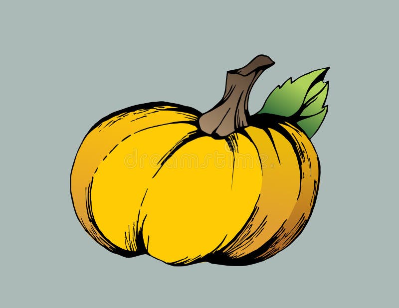 Pompoen vector illustratie. Illustration of illustratie - 11110572