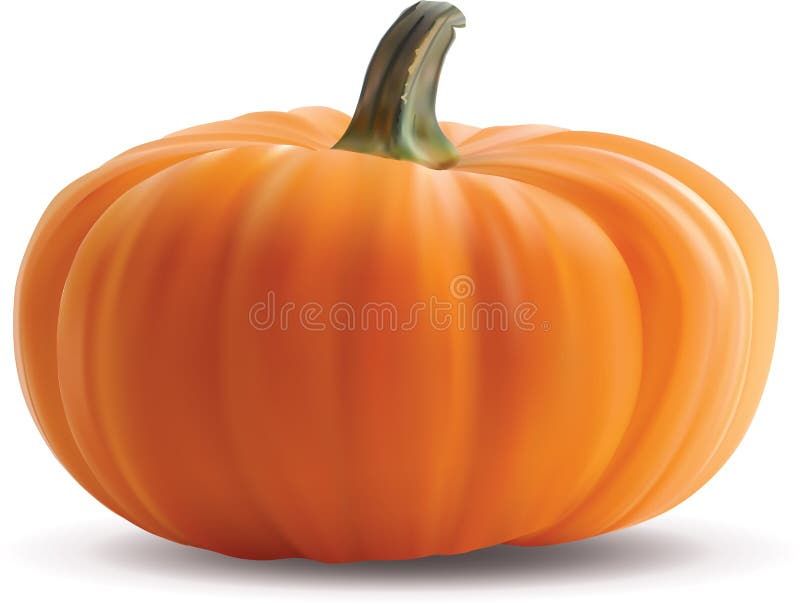 Pompoen stock illustratie. Illustratie bestaande uit ingrediënt - 11175096