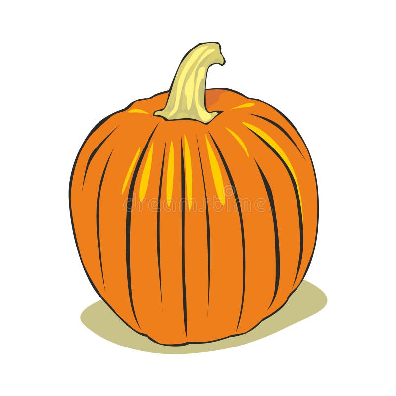Pompoen vector illustratie. Illustration of sinaasappel - 16156247