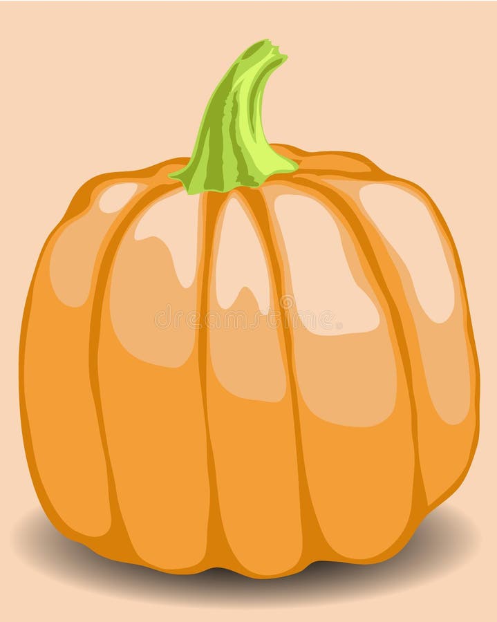 Pompoen vector illustratie. Illustration of cultiveer - 49144689