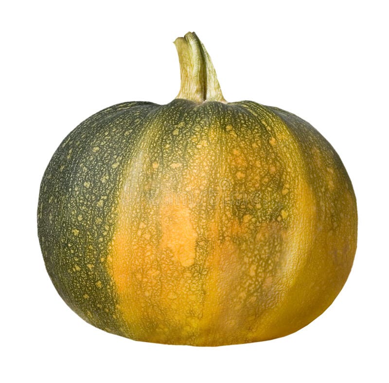 Pompoen stock afbeelding. Image of pompoen, seizoengebonden - 6519041