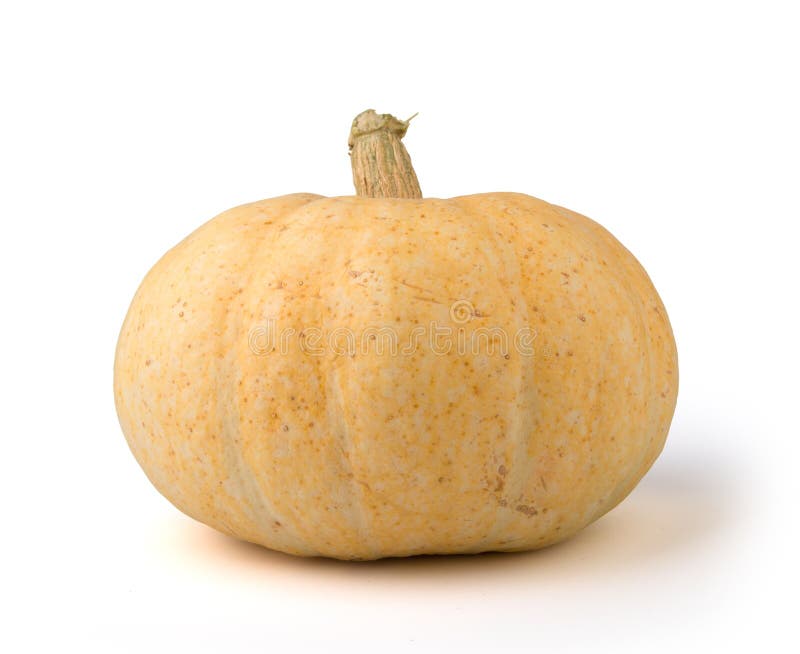 Pompoen stock foto. Image of halloween, knippen, enkelvoudig - 65485690