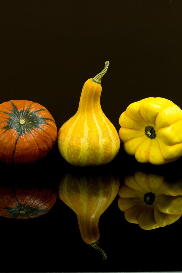 Pompoenen en pompoenen stock afbeelding. Image of organisch - 38331805