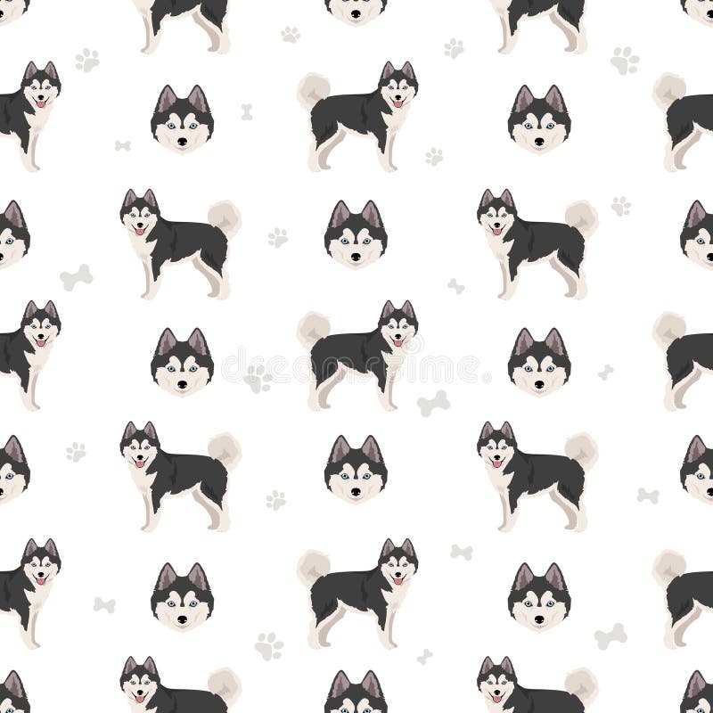 Pomsky Puppy Stock Illustrations – 22 Pomsky Puppy Stock Illustrations ...