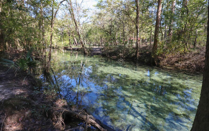 Ponce De Leon Springs Spring Run Stock Photo - Image of river ...