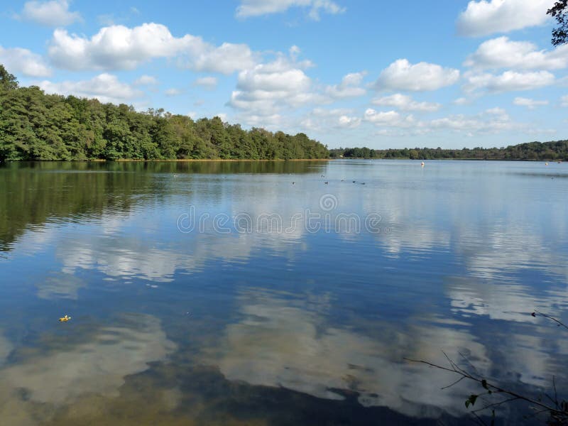 Pond stock image. Image of pondlife, trees, lakes, landscape - 11061877