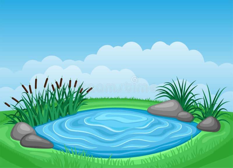 Pond with Reeds and Lilies stock vector. Illustration of grass - 68976386