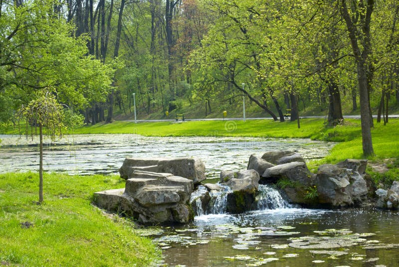 Pond stock photo. Image of pond, park, picturesque, stream - 9195896