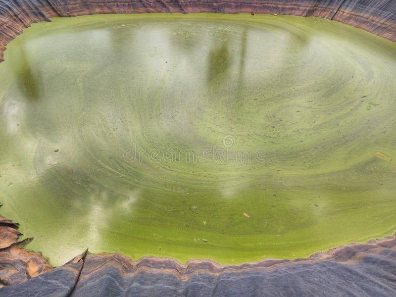 Pond stock image. Image of green, water, pond, abstract - 125605007