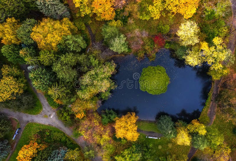 Pond in Autumn Park with Paths, the View from the Drone Stock Image ...