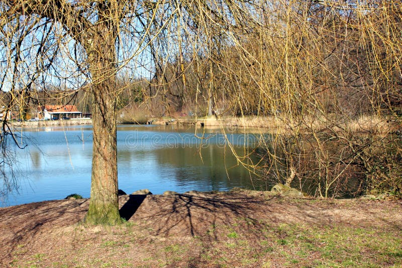 Pond bank stock image. Image of reed, fishing, rest, pond - 51540891