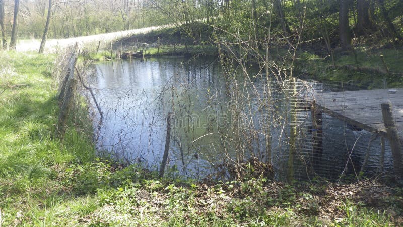 A Pond is a Basic System for Collecting Water Stock Photo - Image of ...