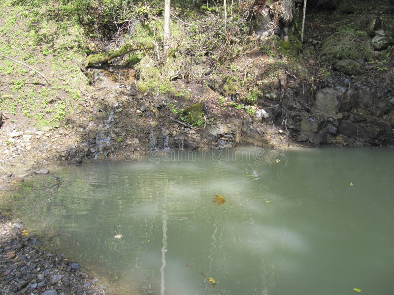 A Pond is a Basic System for Collecting Water Stock Photo - Image of ...