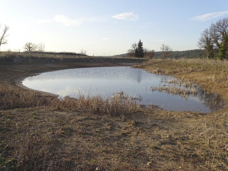 A Pond is a Basic System for Collecting Water Stock Image - Image of ...