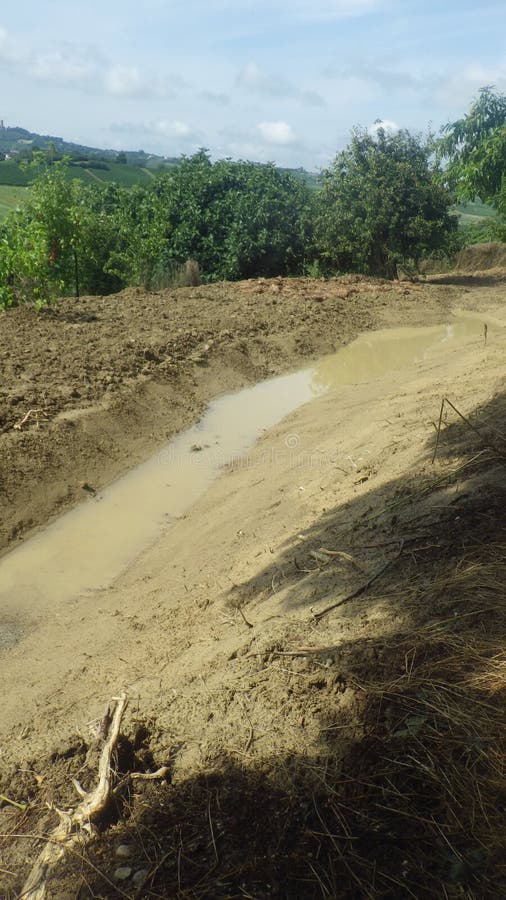 A Pond is a Basic System for Collecting Water Stock Photo - Image of ...
