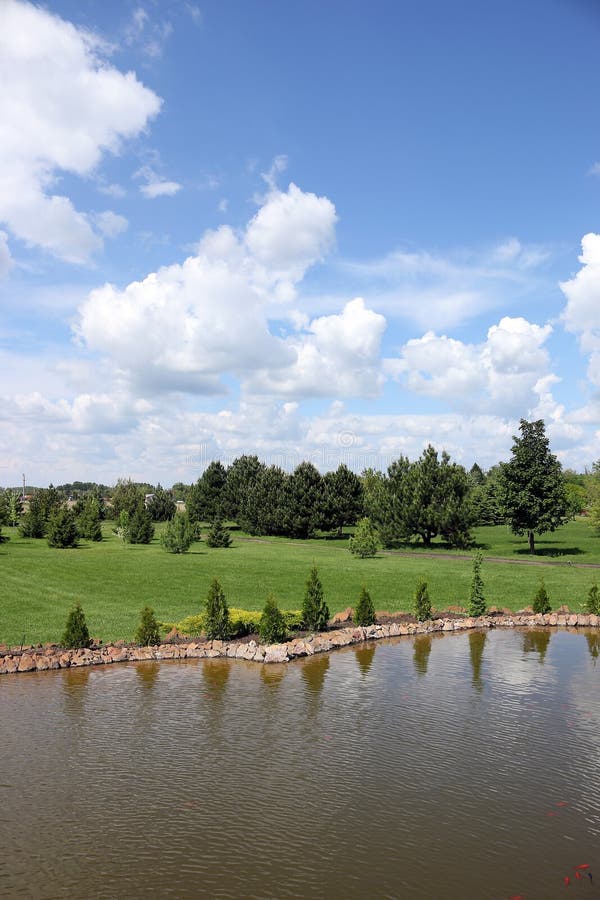 Pond and Blue Sky Landscape Stock Image - Image of animal, goldfish ...