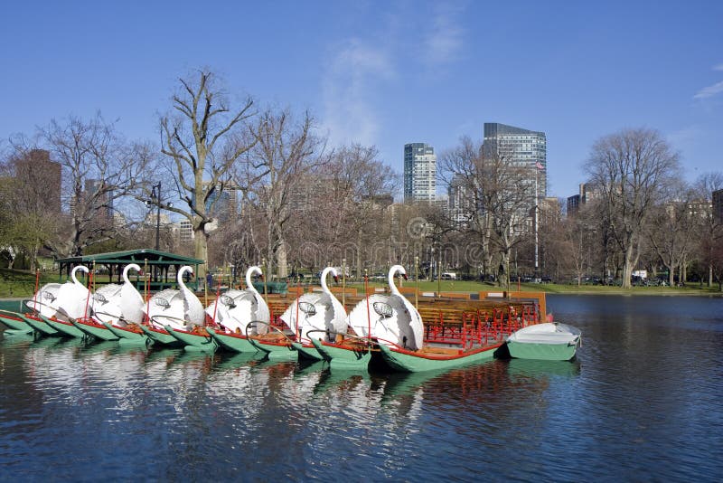 Pond In Boston Common Garden Stock Image - Image of panoramic, blossom ...