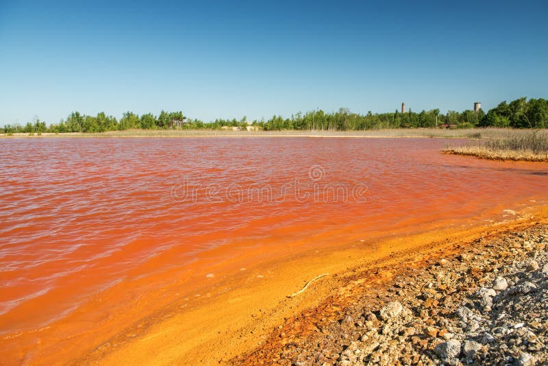 A Pond with Bright Red Water. Environmental Problems, Pollution of the ...