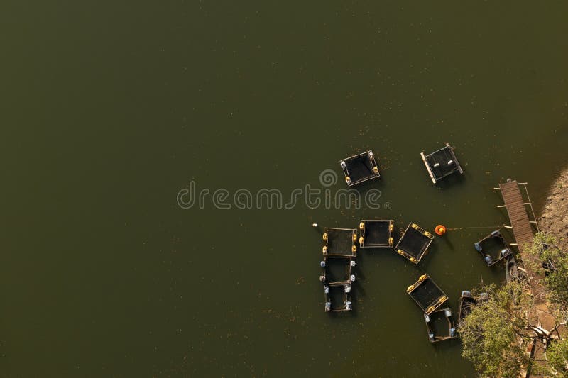Pond with Cages for Fish Breeding Stock Photo - Image of breeding ...