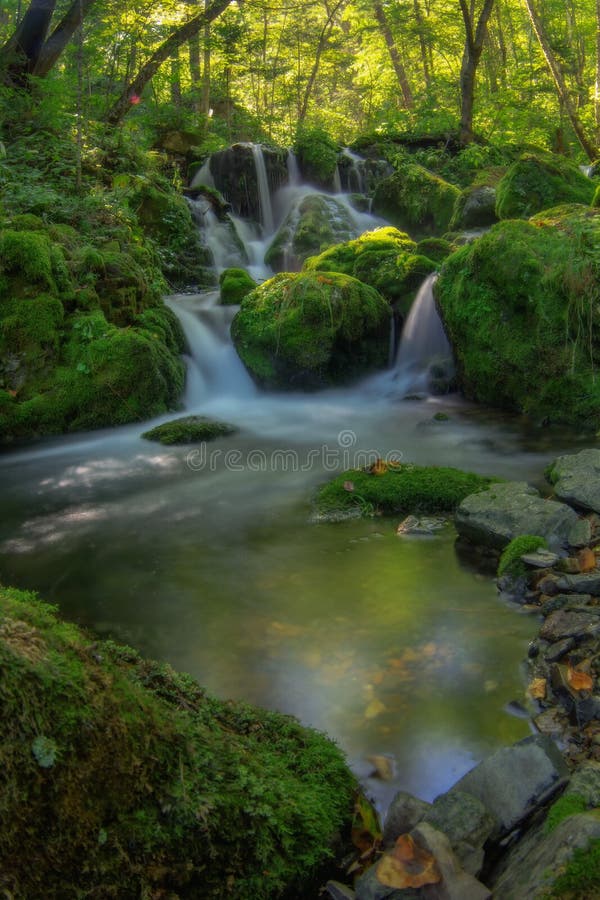 A Pond and a Cascading Waterfall in a Dense Forest. Stock Image - Image ...
