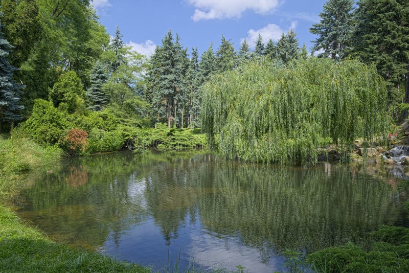 Pond in the city park stock image. Image of blue, leaf - 50755877