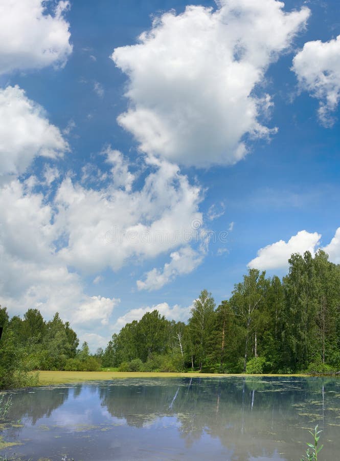 Pond and Clouds on Blue Sky Stock Image - Image of pond, relax: 4236989