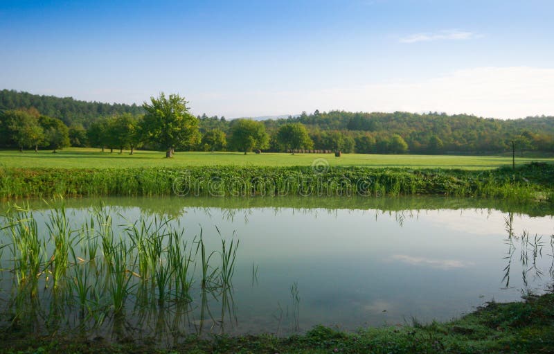 Pond on countryside stock photo. Image of rest, coniferous - 12393062