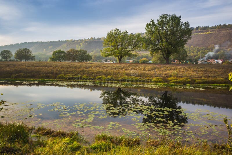 Pond in the Countryside in Autumn Stock Photo - Image of boondocks ...