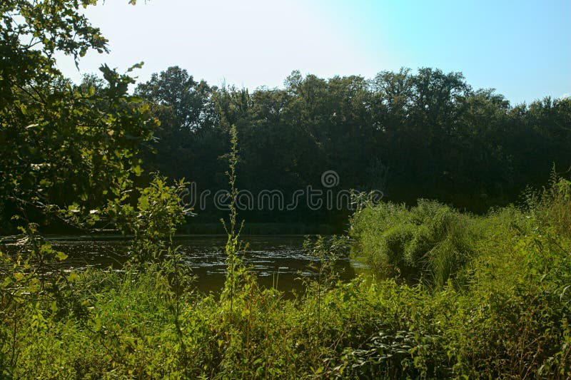 A Pond in the Countryside stock image. Image of coloured - 85649461