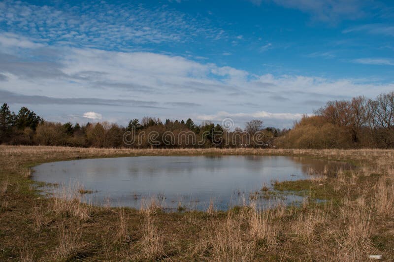 Danish field stock image. Image of growing, mood, unseasonably - 64227615