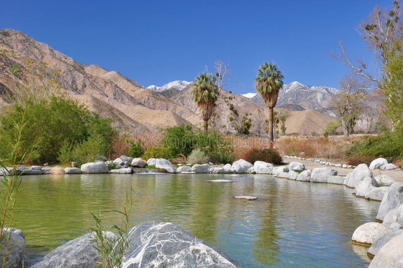 Pond in the desert stock photo. Image of environment - 23488338