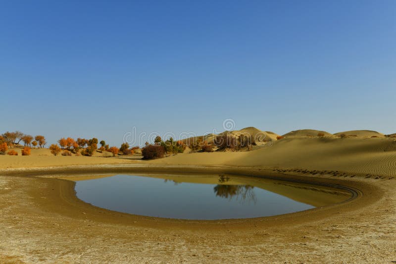 The pond in the desert stock photo. Image of river, inverted - 62099964
