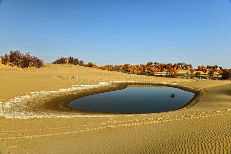 The pond in the desert stock photo. Image of river, inverted - 62099964