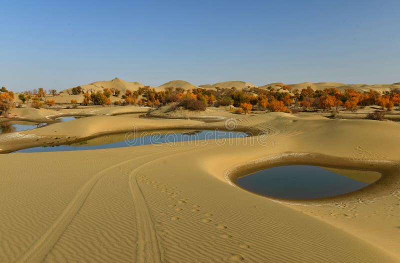 The pond in the desert stock image. Image of pond, xinjiang - 62100091