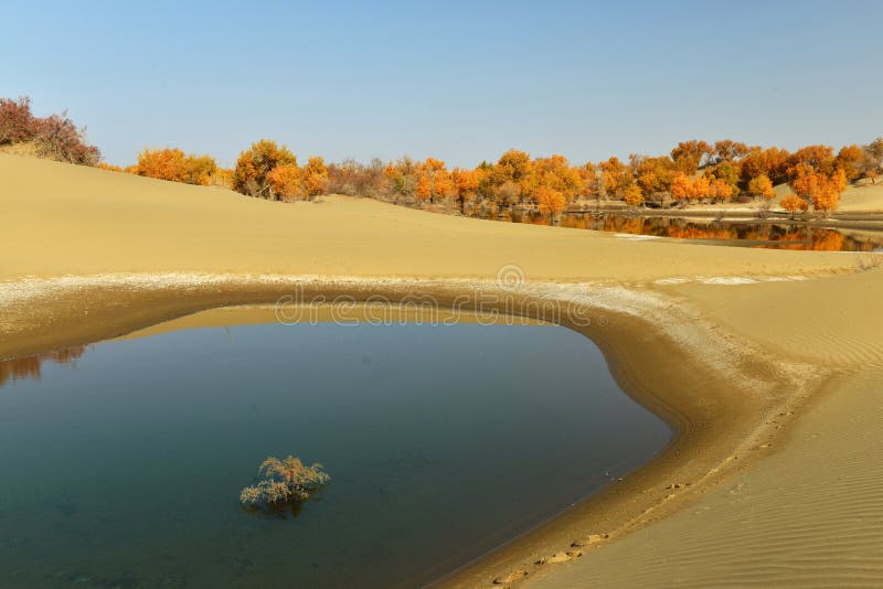 The pond in the desert stock image. Image of pond, xinjiang - 62100091
