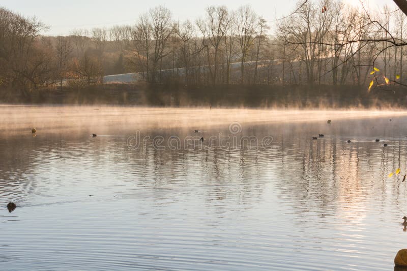 Morning Fog on a Lake Abtskuecher Pond in Heiligenhaus Stock Photo ...