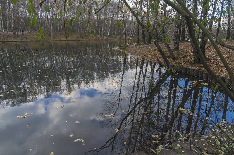 Pond at the End of October. Stock Image - Image of yellow, water: 84986869